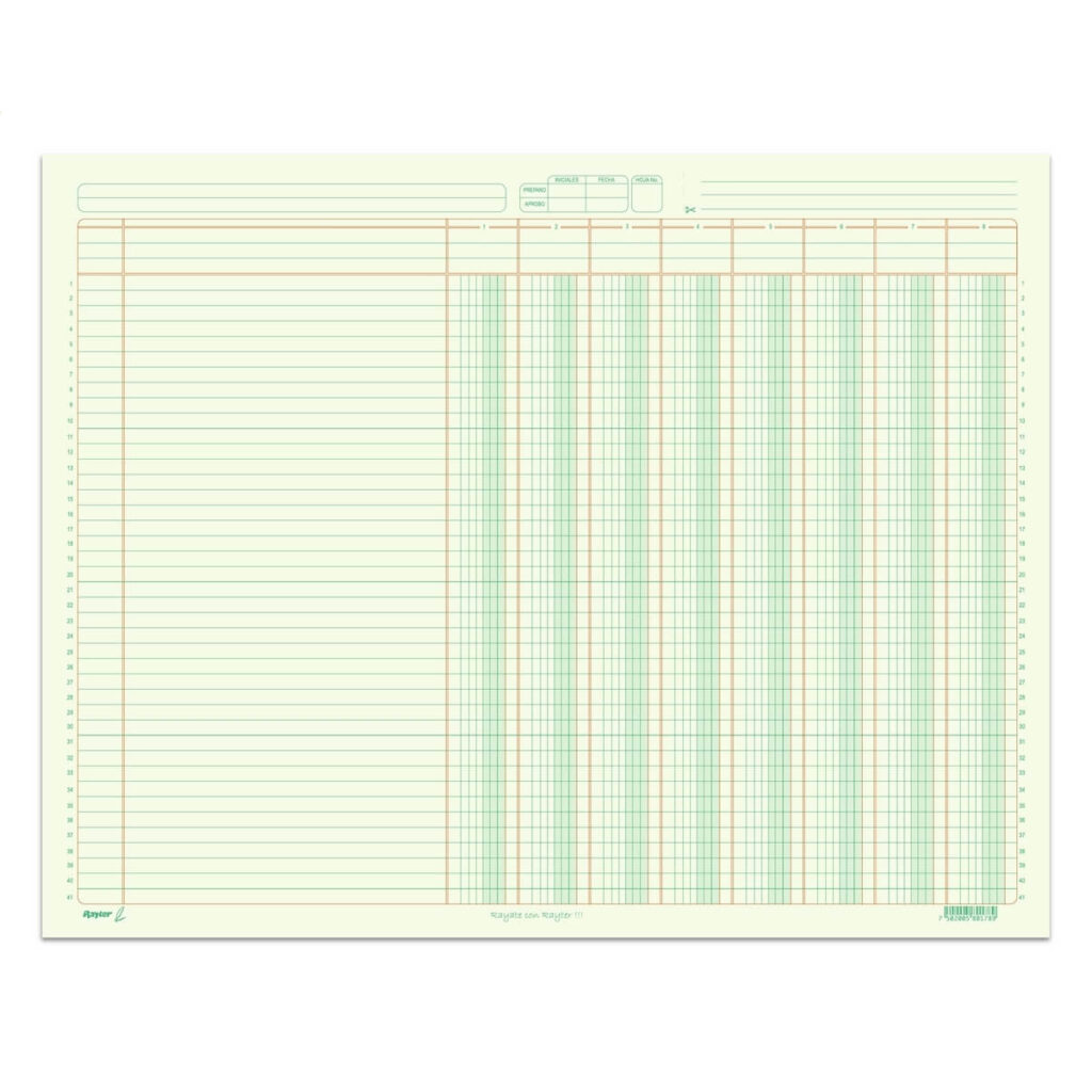 Tabular 8 Columnas con Concepto - Rayter